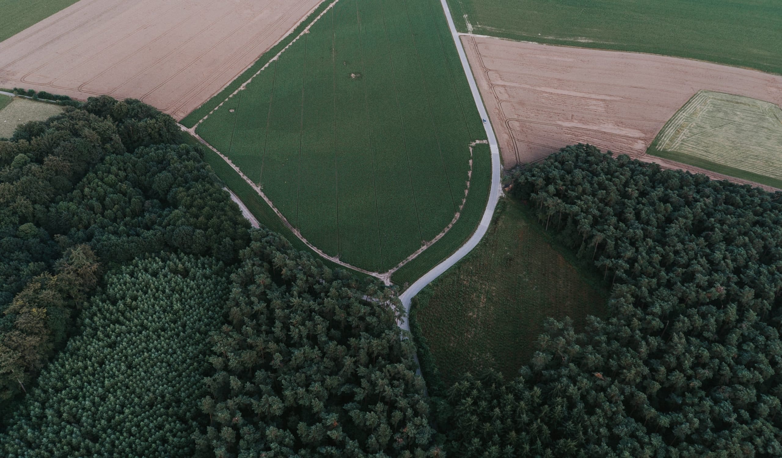 Boundary Line Agreement Nettleman Land Consultants Boundary Line Agreement Nettleman Land Consultants